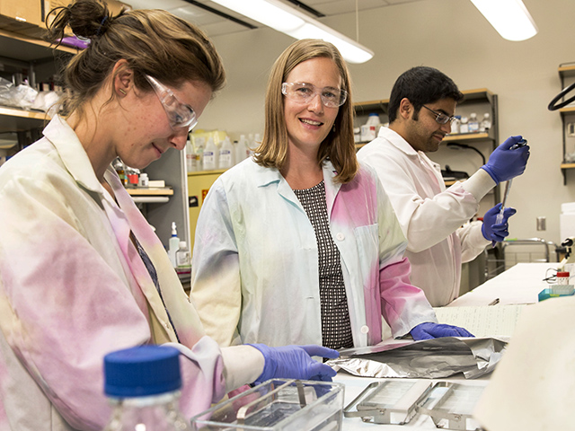 Effort to improve neural repair earns NSF CAREER Award